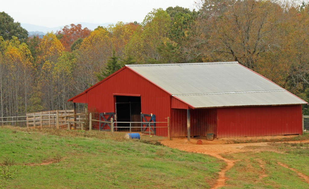 Birds, Barns, and What I Want to Be… – Backyard Bird Nerd