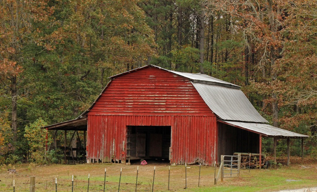 Birds, Barns, and What I Want to Be… – Backyard Bird Nerd